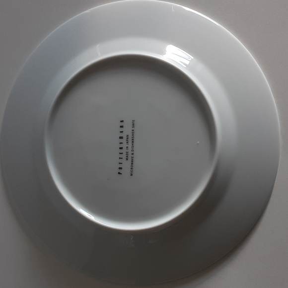 Pottery Barn | Dining | Pottery Barn Blue Green Dragonfly Diagonal ...